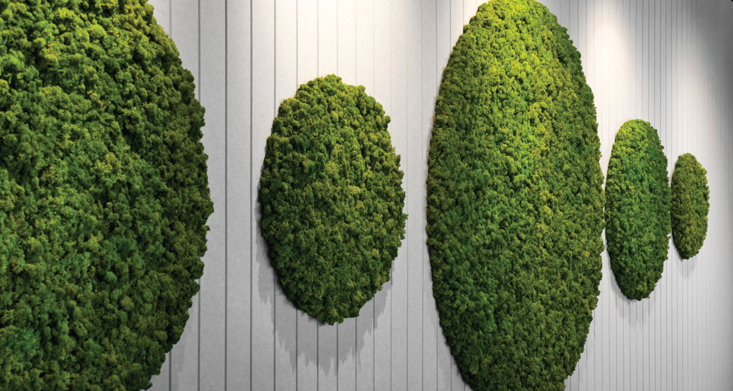 Selecting Acoustics – Brisbane Acoustics